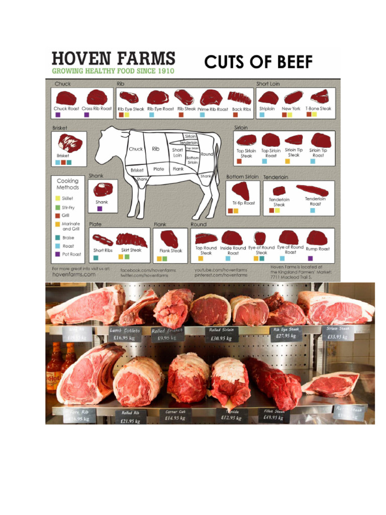 Basic Beef | PDF | Steak | Chuck Steak