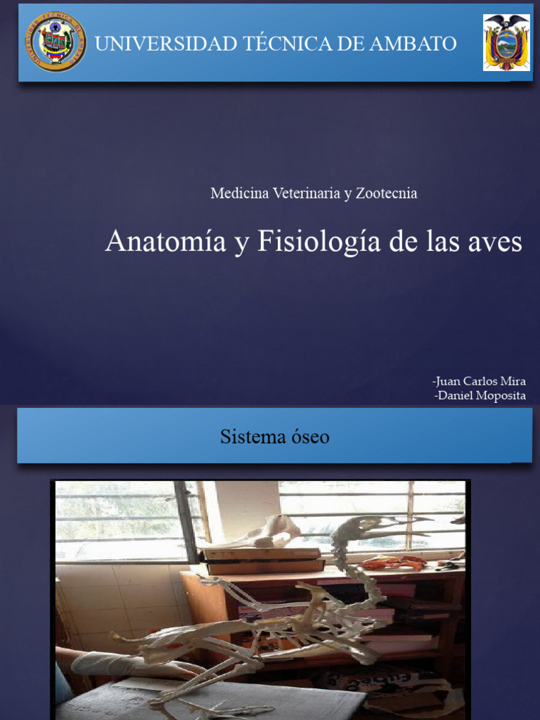 Anatomia y Fisiología de Las Aves | PDF | Piel | Sistema digestivo humano