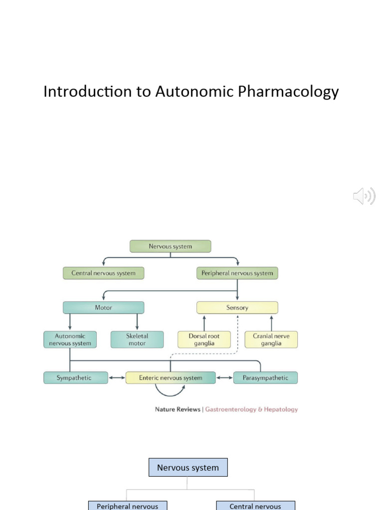 Cholinergic Agonists | PDF | Acetylcholine | Neuromuscular Junction