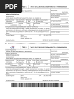 Modelo RPA 2025 Atualizado | PDF