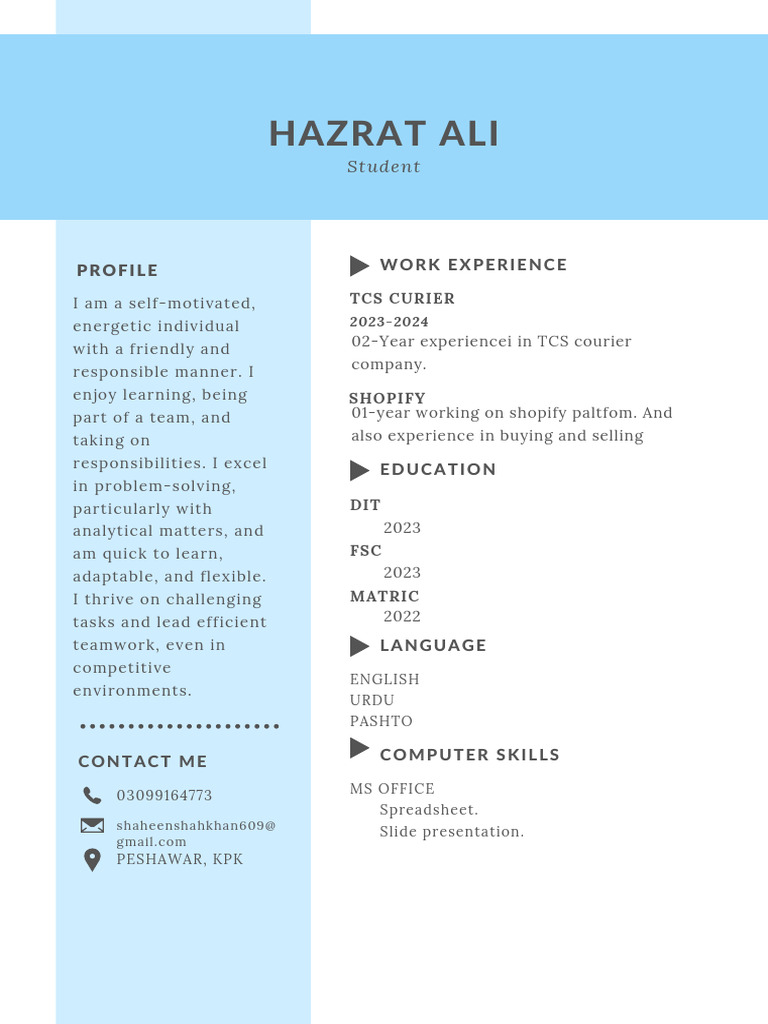 Ali Resume | PDF