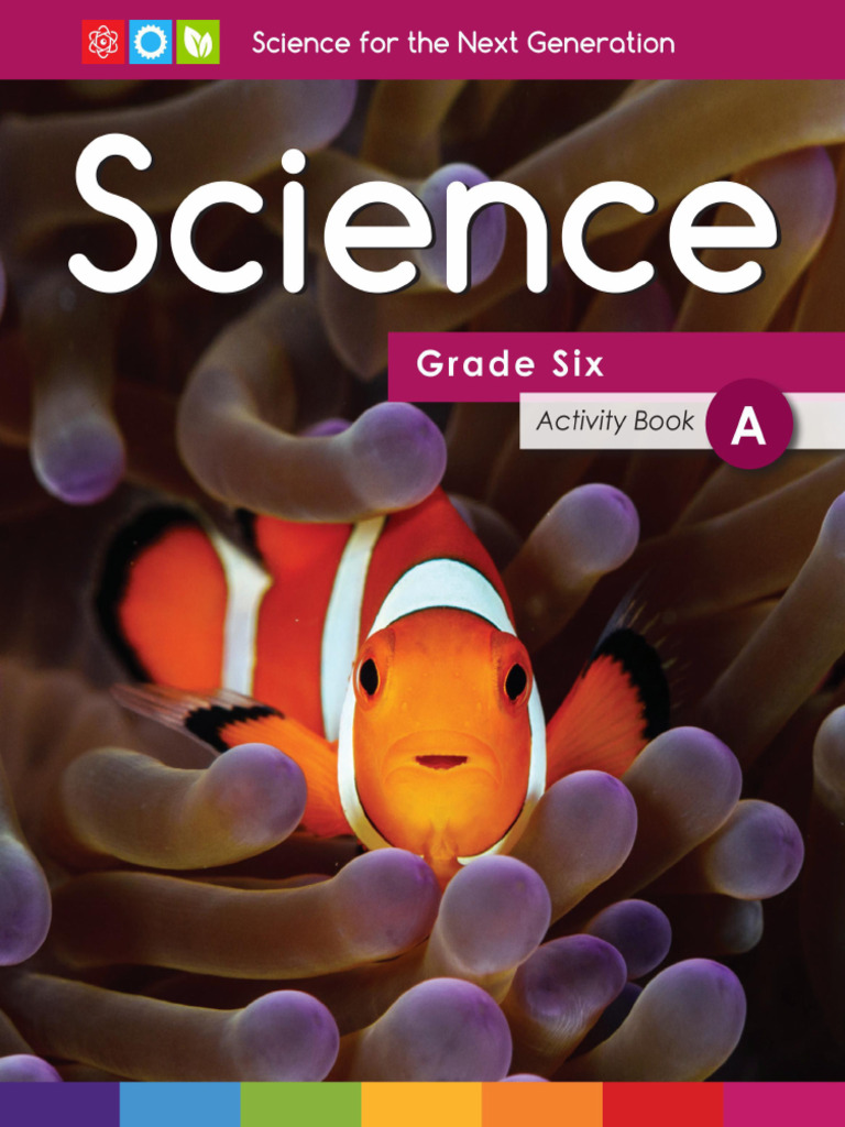 Next Generation Science Level 6 - Activity Book A | PDF