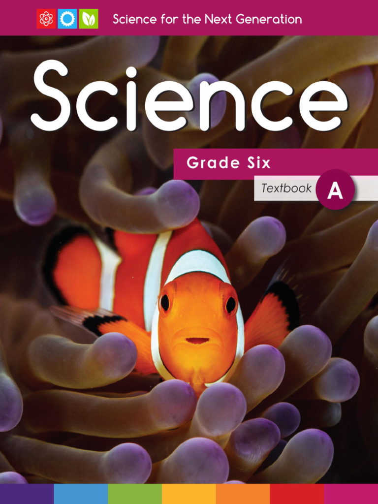 Next Generation Science Level 6 - Textbook A | PDF