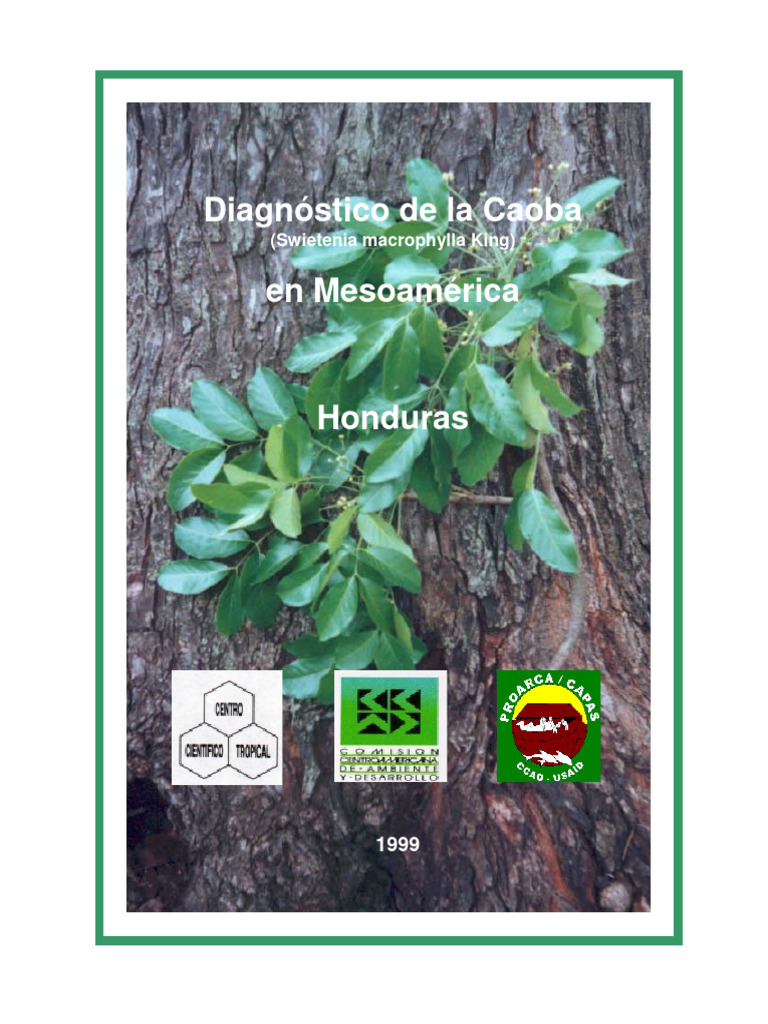 Diagnostico de La Caoba en Mesoamerica Honduras | PDF | Los bosques ...