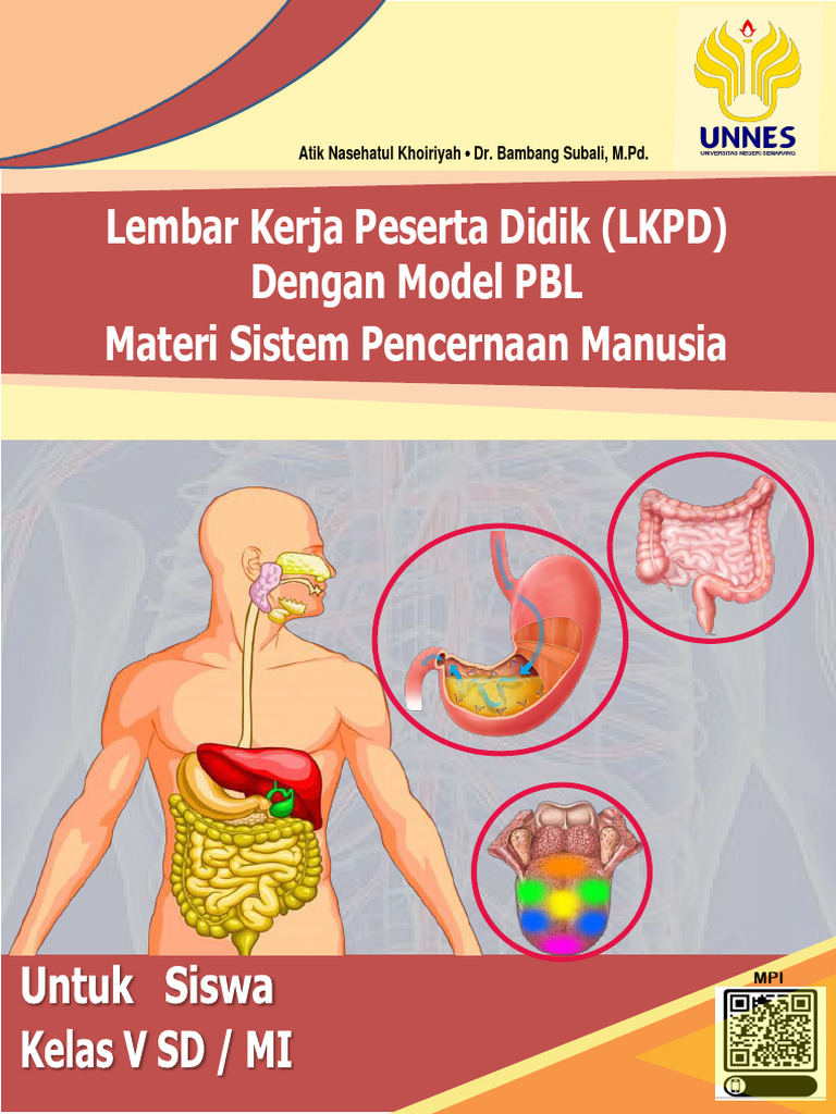 LKPD Sistem Pencernaan Manusia | PDF