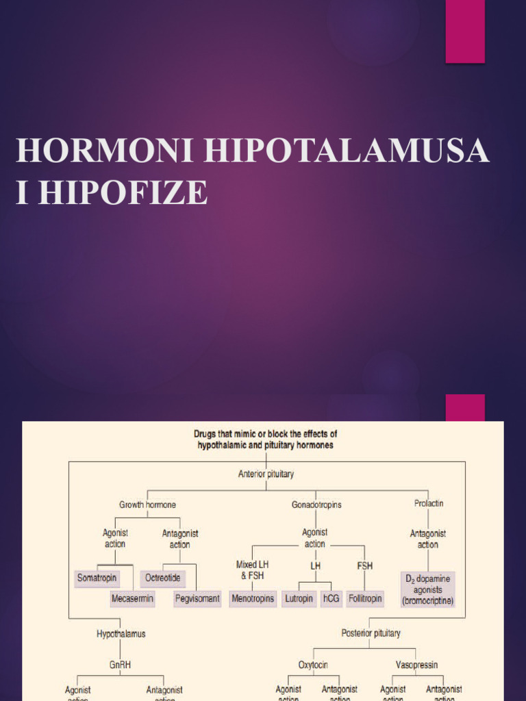 S16 - Hormoni Hipotalamusa I Hipofize | PDF