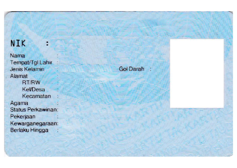 Desain KTP png | PDF