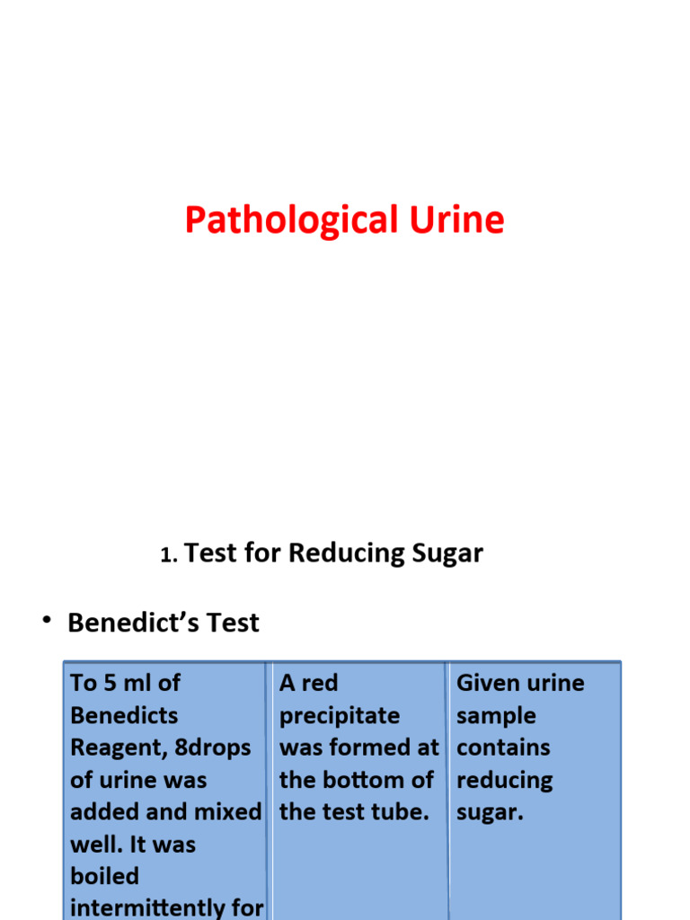 Pathological Urine Practical RT | PDF | Kidney | Urine