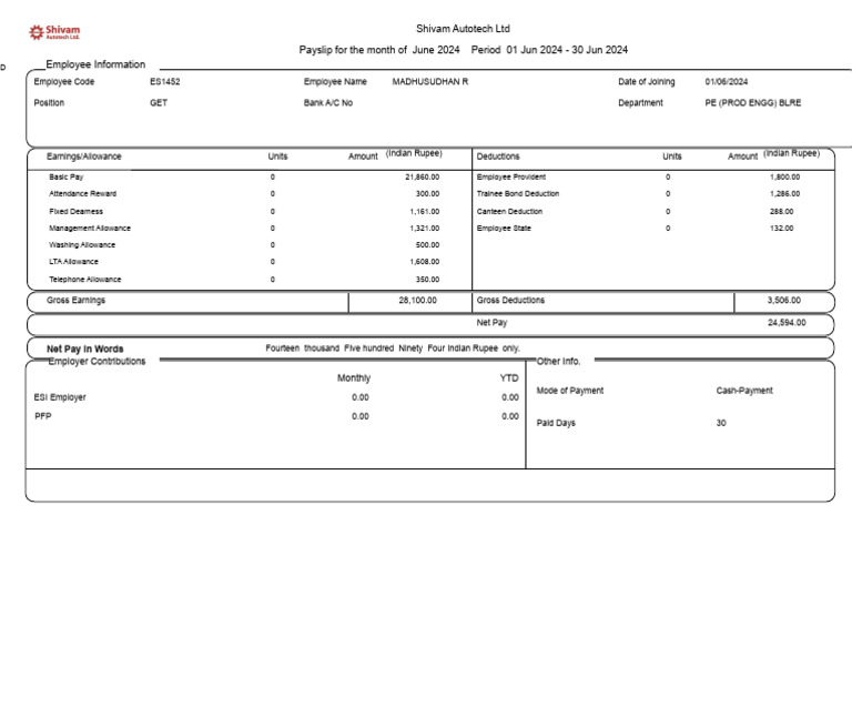 Payslip | PDF | Payments | Personal Finance