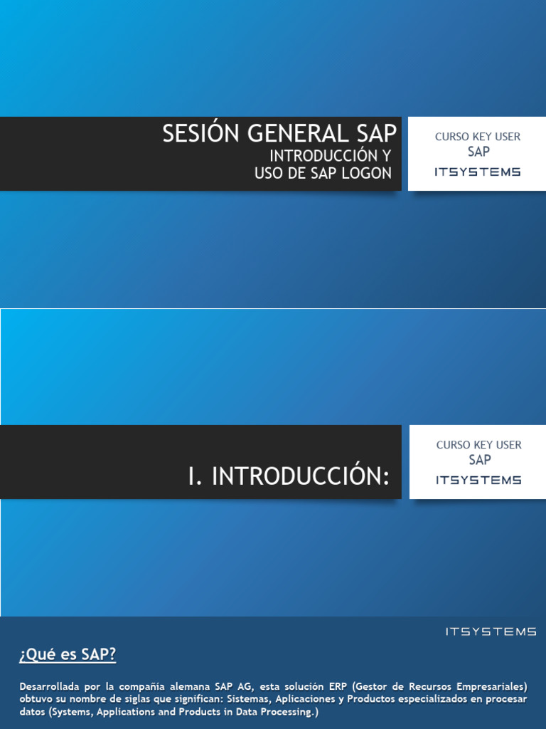 Introducción A SAP y Uso de Interfaz GUI - SAP ERP (R3 y S4HANA) | PDF ...