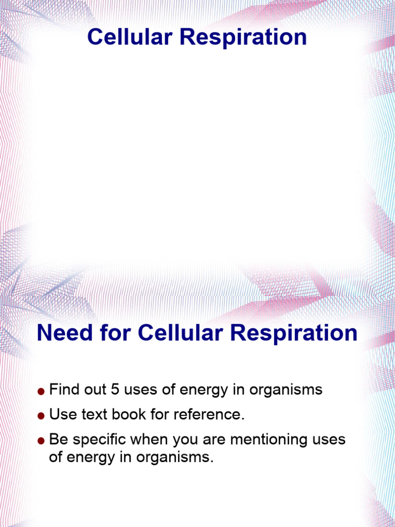 Cellular Respiration JC2 01 | PDF