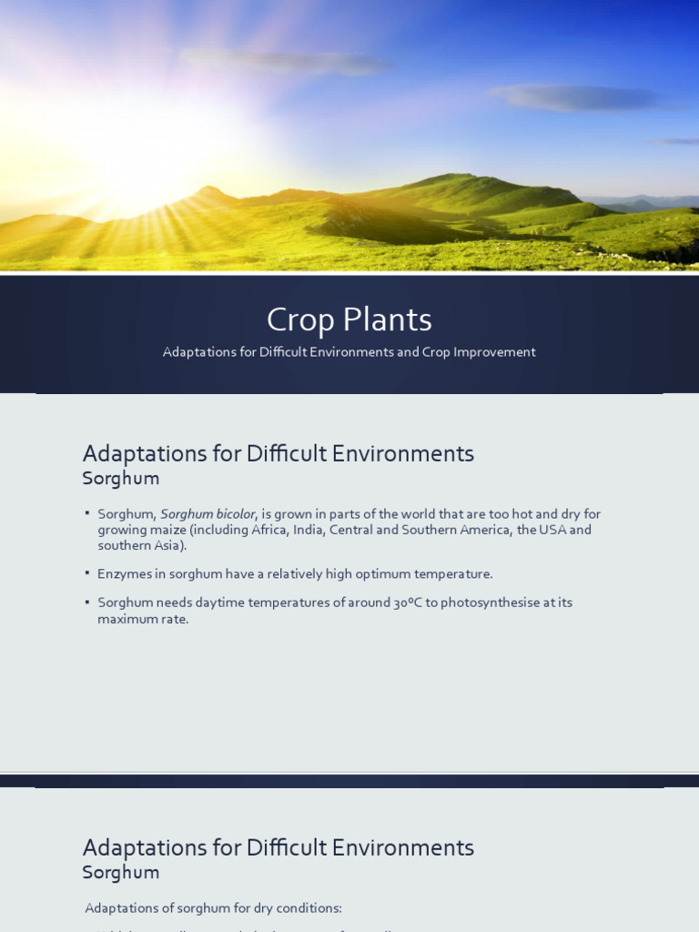 Crop Plants - Adaptations For Difficult Environments and Crop ...