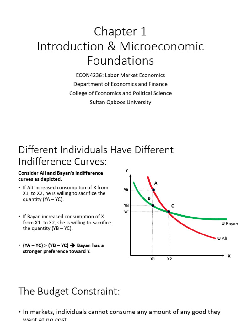 Ch.1 - Introduction and Microeconomic Foundations - Class 2 | PDF ... Ch.1 - Introduction and Microeconomic Foundations - Class 2 | PDF ...