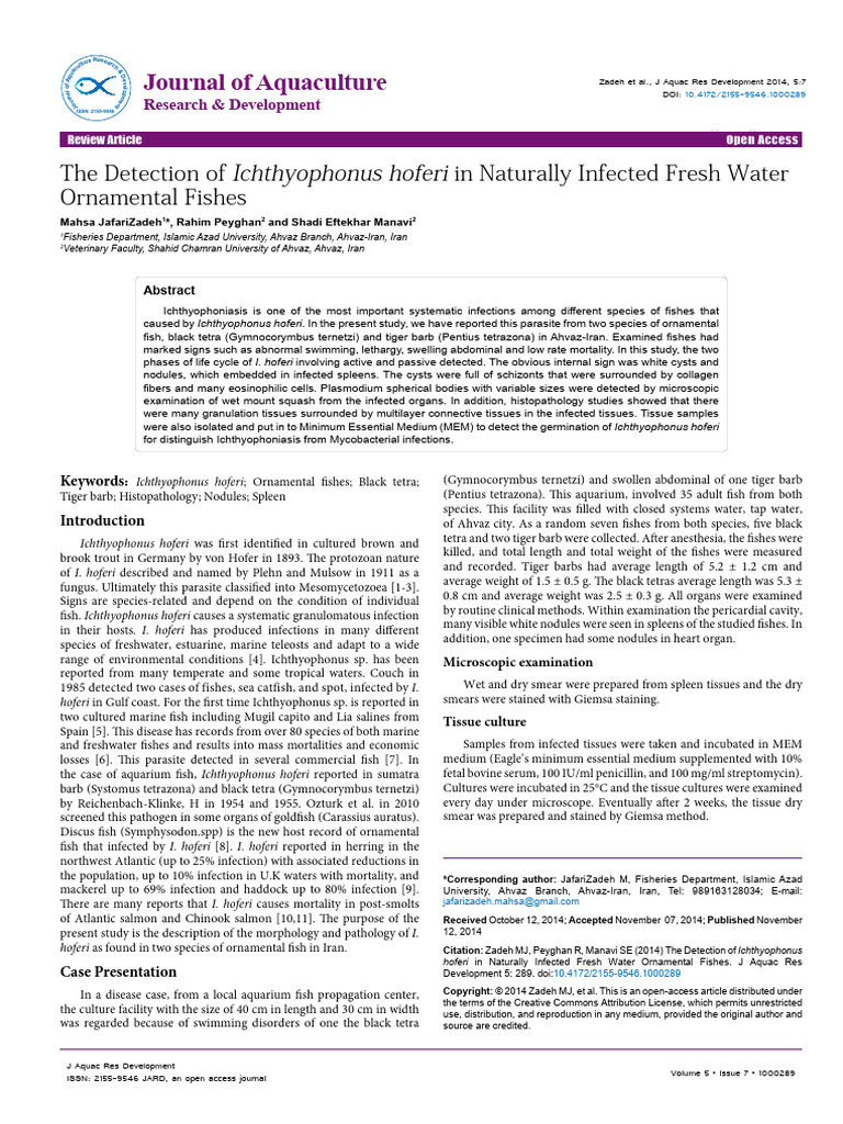 The Detection of Ichthyophonus Hoferi in Naturally Infected Fresh Water ...