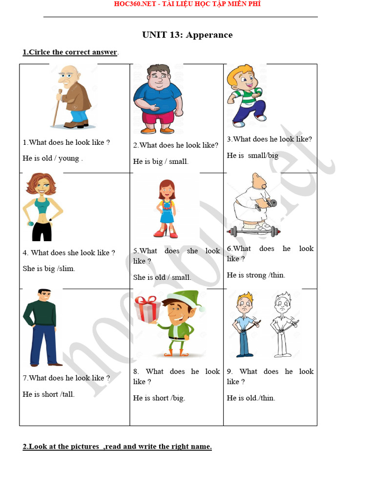 What Does He Look Like Unit14 | PDF | Adjective