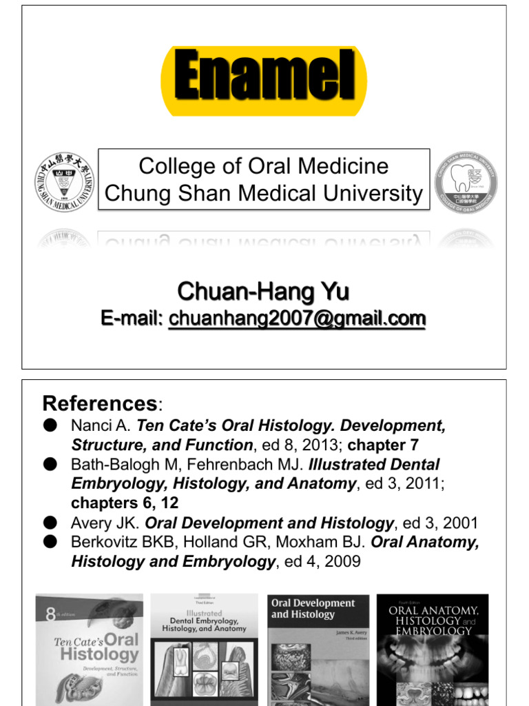 Enamel | PDF | Tooth Enamel | Human Tooth
