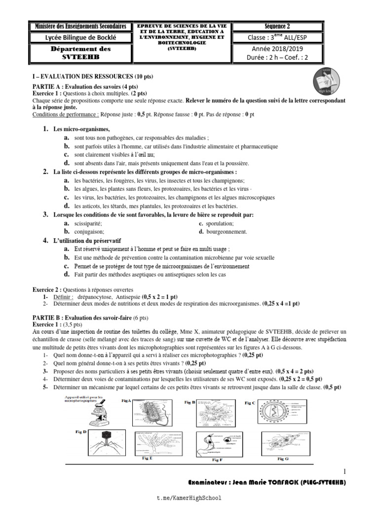Épreuve de SVTEEHB 3ème ALL/ESP 2019 | PDF | Bactérie | Biologie