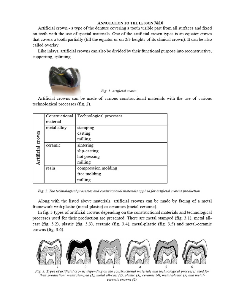 Annotation To The Lesson 10 | PDF | Tooth | Mouth