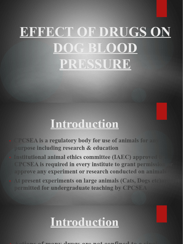 Effect of Drugs On Dog BP | PDF | Norepinephrine | Medical Specialties
