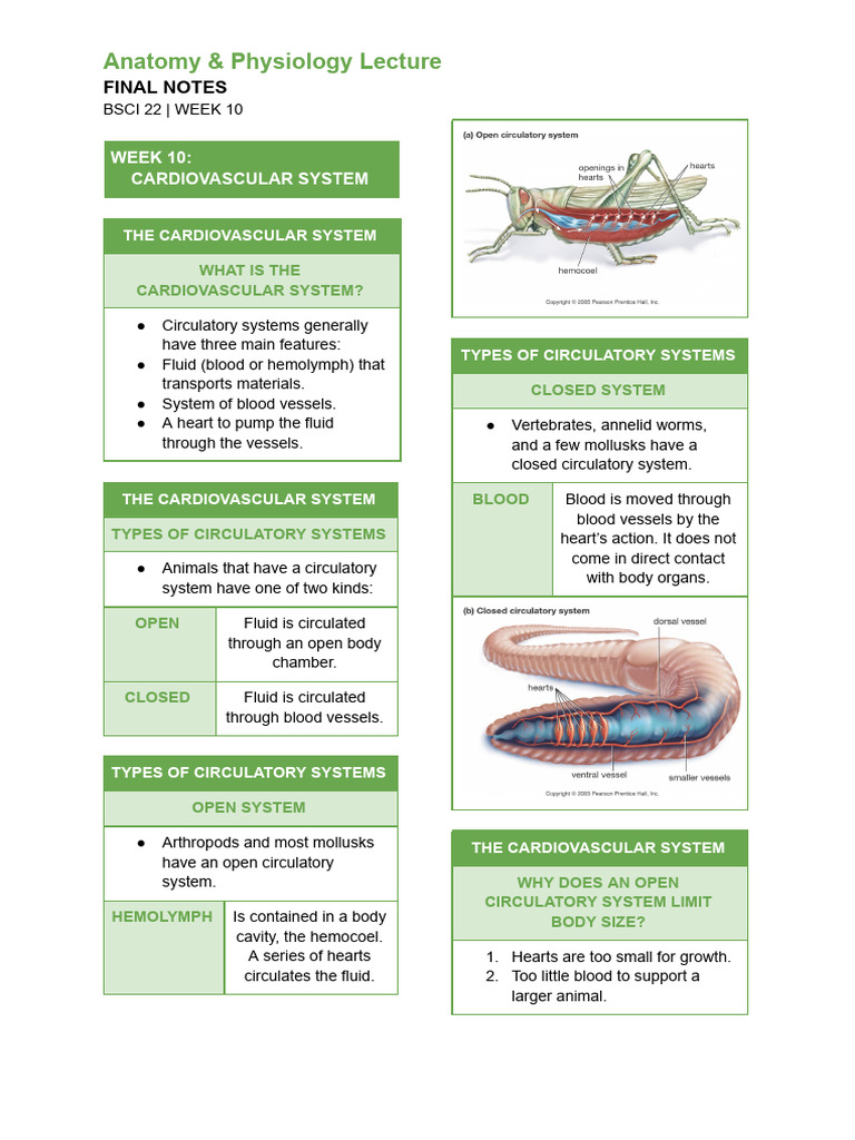 Week 10 - Cardiovascular System | PDF | Heart | Atrium (Heart)