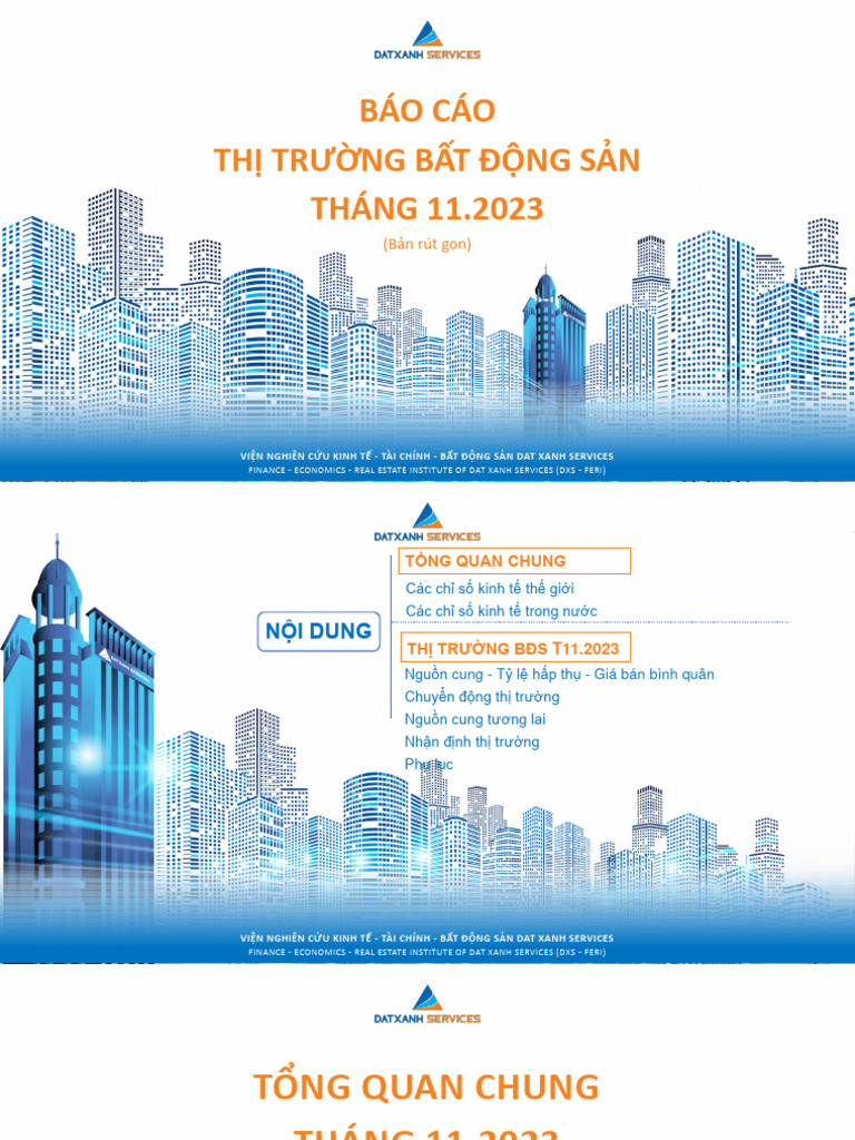 DXS FERI BAO CAO NCTT BDS T11.2023 Final | PDF