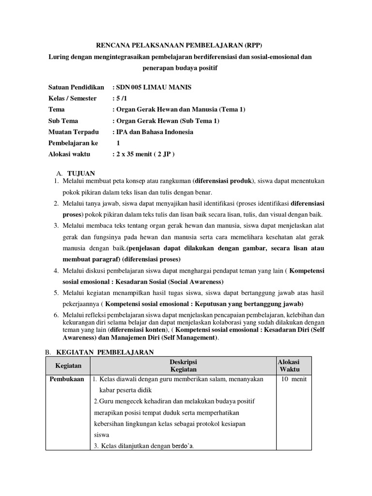 RPP Kelas 5 Diferensiasi KSE | PDF