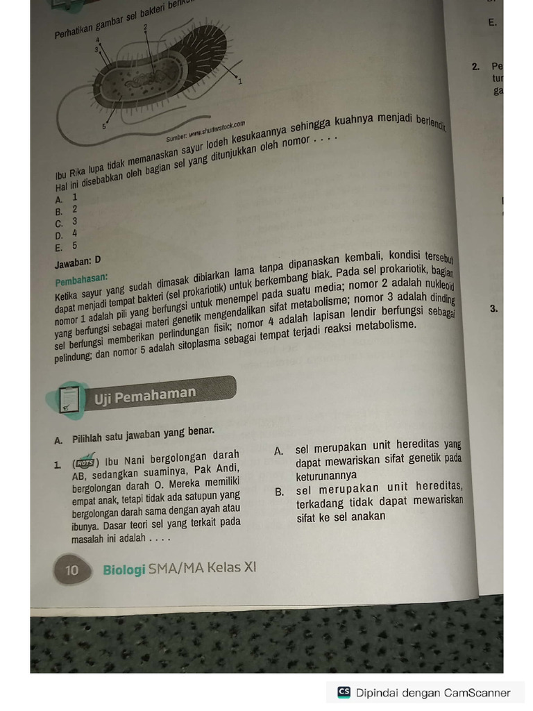 Soal Bio 61 | PDF