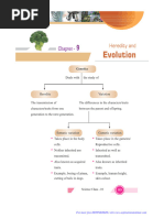Class 10 Heredity | PDF | Dominance (Genetics) | Genetics