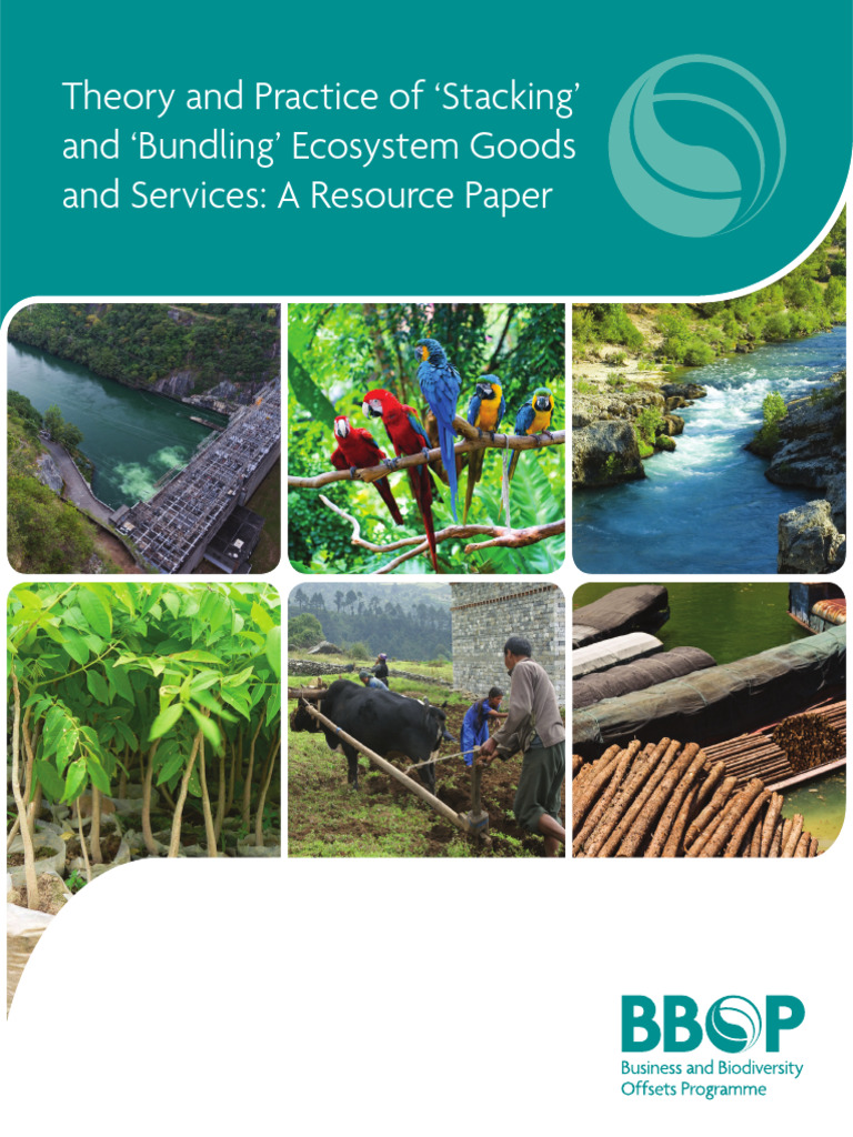 Ecosys Credits Stacking Bundling Resource Paper 01-11-18 | PDF | Risk ...