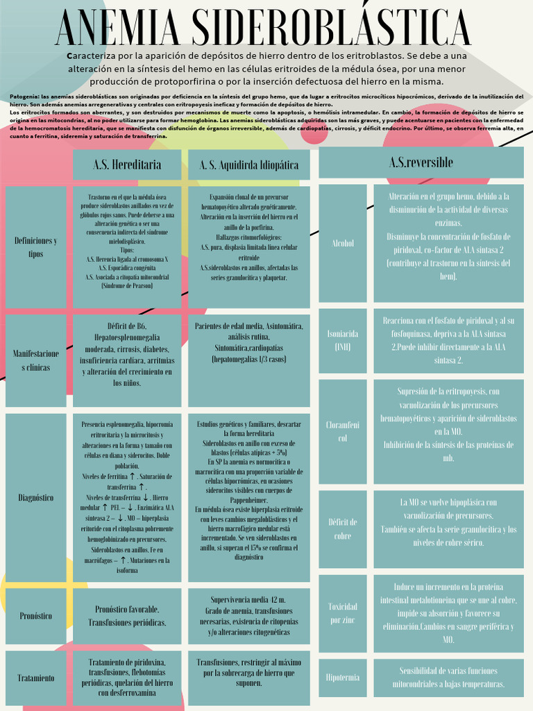 Anemia Sideroblástica: Diagnóstico y Tratamiento | PDF | Glóbulo rojo ...