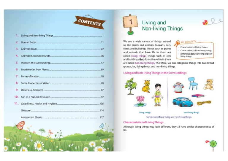 Science Class 3 Part 1 | PDF