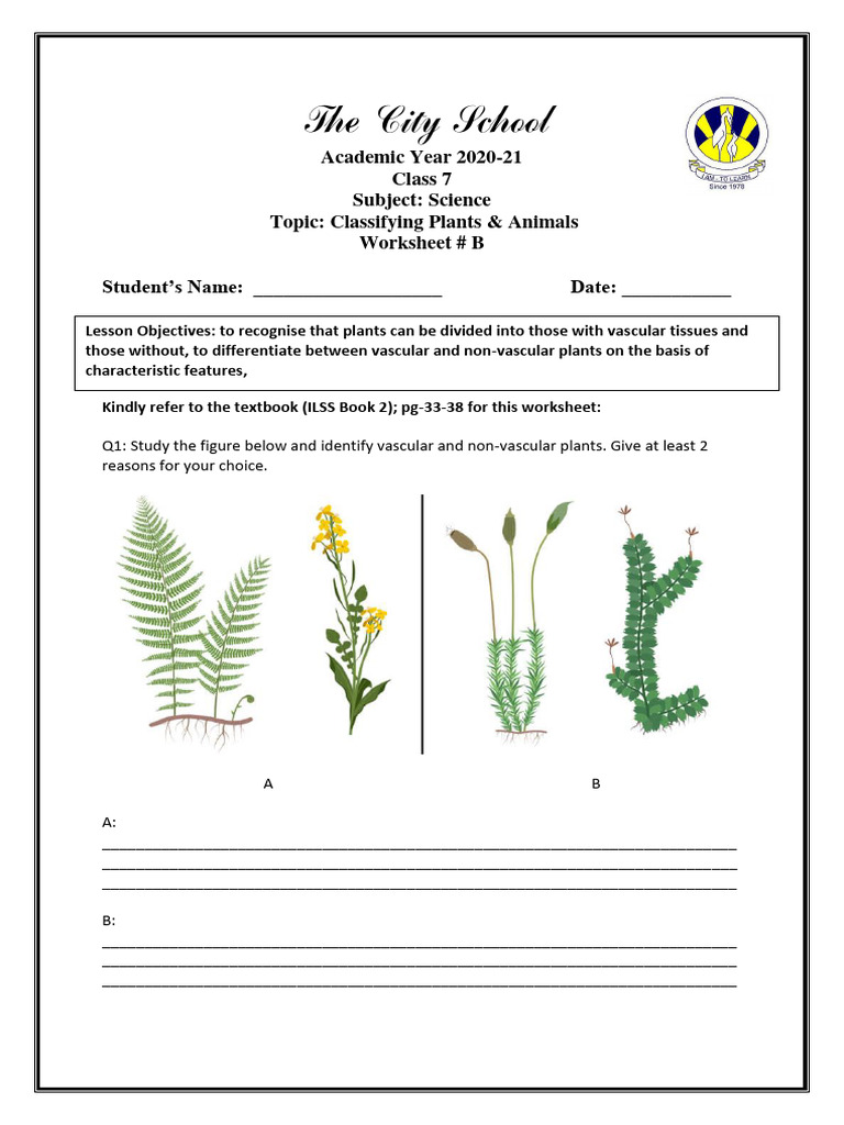 Classifying Plants and Animals | PDF | Plants | Moss