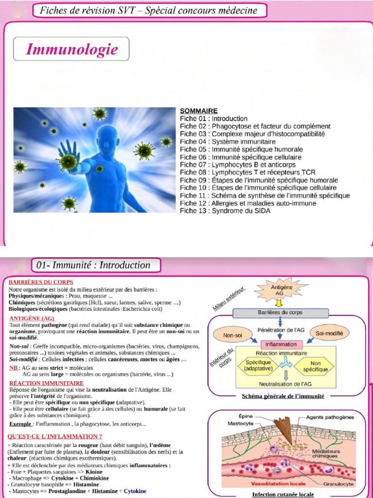Immuno Concours Med Kebdani 2022 | PDF