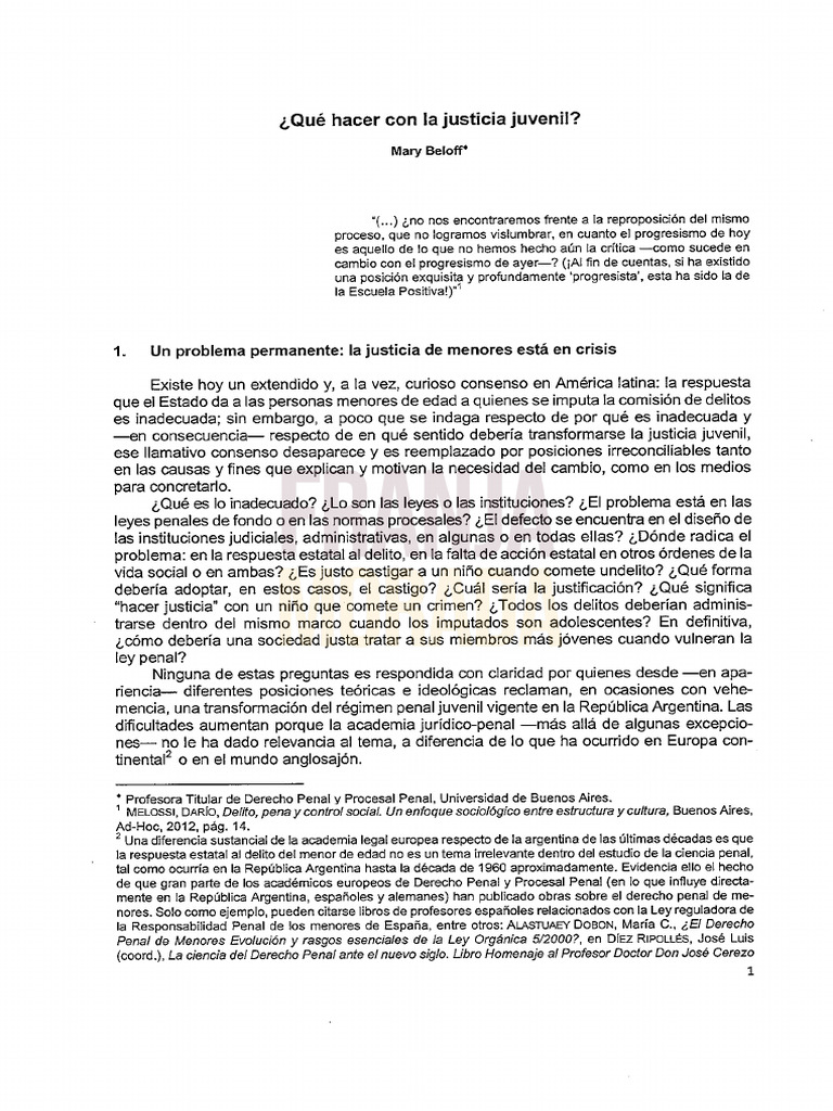 Mary Beloff - Que Hacer Con La Justicia Juvenil | PDF