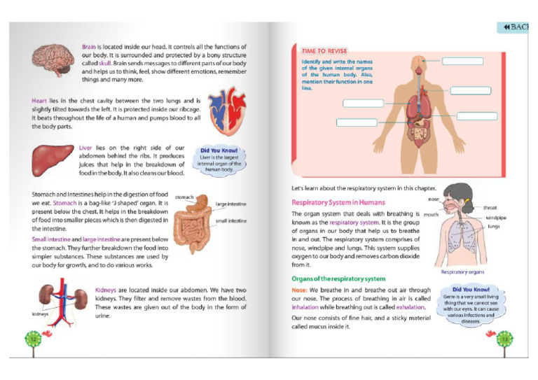 Science Class 3 Part 7 | PDF