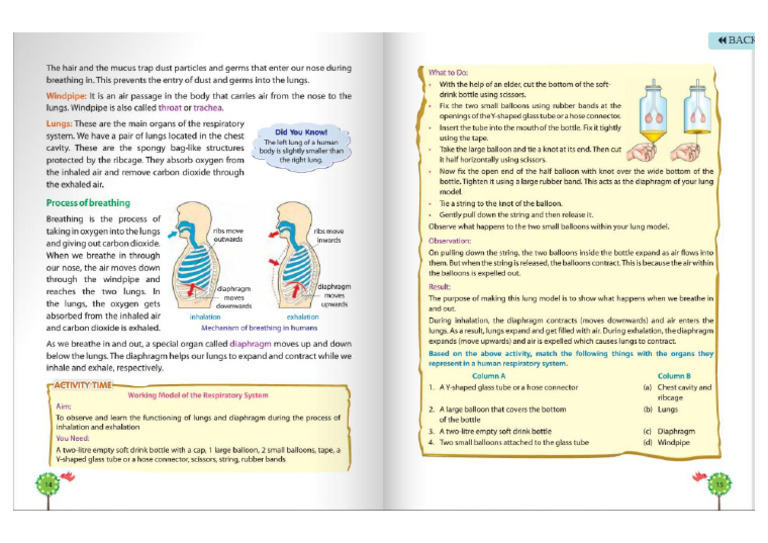 science class 3 part 8 | PDF