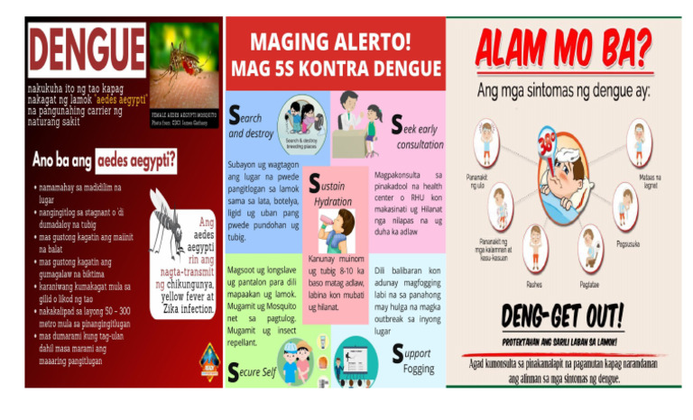 Dengue Leaflets | PDF