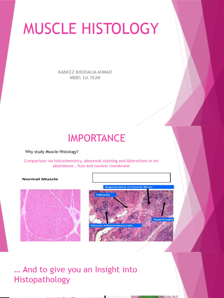 Muscle Histology | PDF | Muscle | Cardiac Muscle