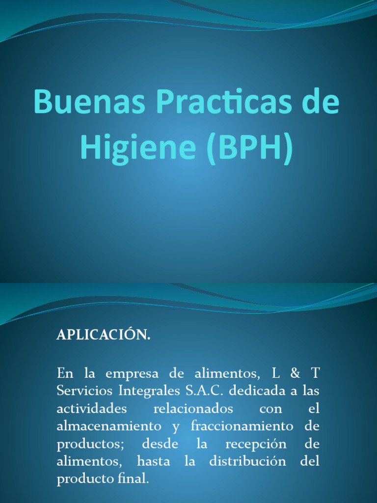 Buenas Practicas de Higiene L&T (BPH) | PDF | Lavado de manos | Higiene