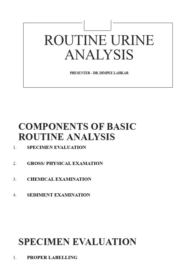 Routine Urine Analysis PDF | PDF | Medical Specialties | Urinary System