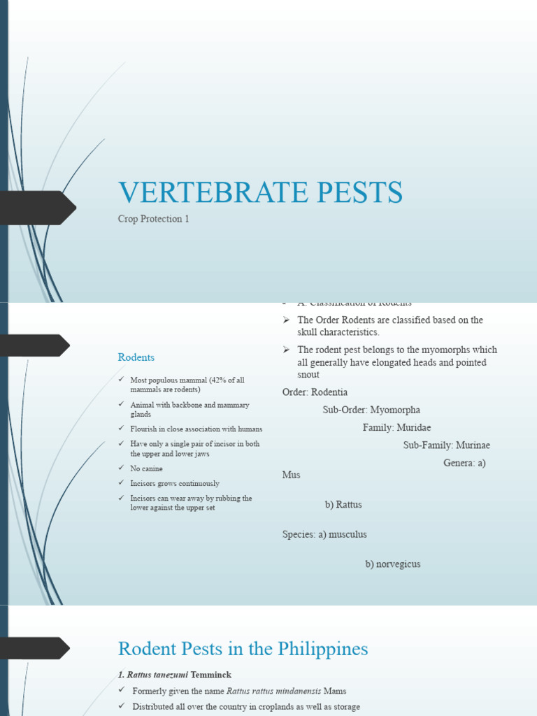 Vertebrate Pests | PDF | Rodent | Zoology