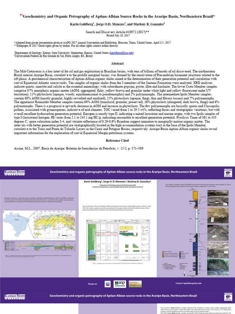 Goldberg Et Al 2017 - SGeochemistry and Organic Petrography of Aptian ...