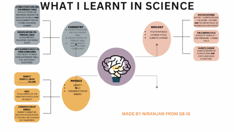 Science Mind Map For Kids | PDF