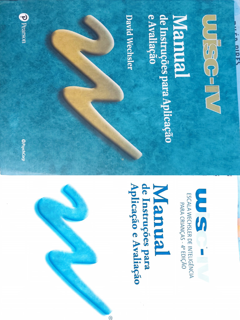 Manual Wisc IV | PDF