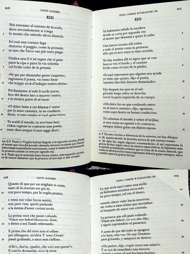 CANTO XIII Divina Comedia | PDF | Poemas visionarios | Creencia ...