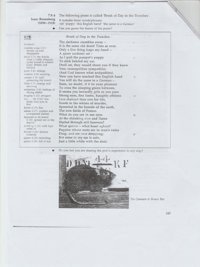 Break of Day in The Trenches | PDF