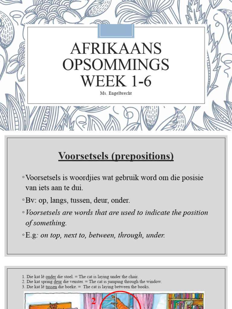 GR 6 - Afrikaans Opsomming Week 1-6 | PDF