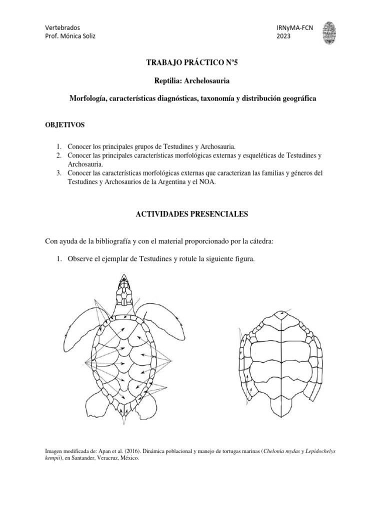 TP Nº5-Archelosauria | PDF | Biología | Taxonomía (biología)