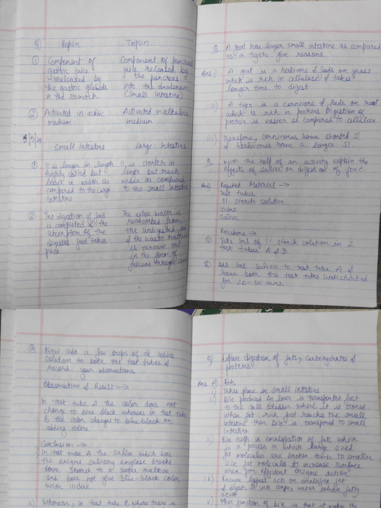 Biology Class 10 | PDF