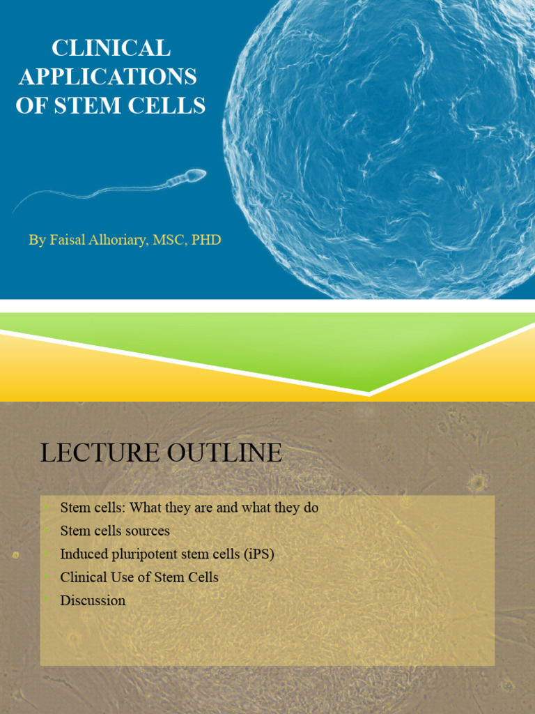Stem Cells Biochemistry 2 | PDF | Cell Potency | Stem Cell